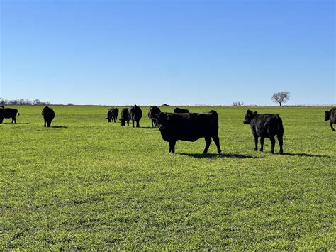 Edith Edith Kassanavoid Gordon Assisted Living Center