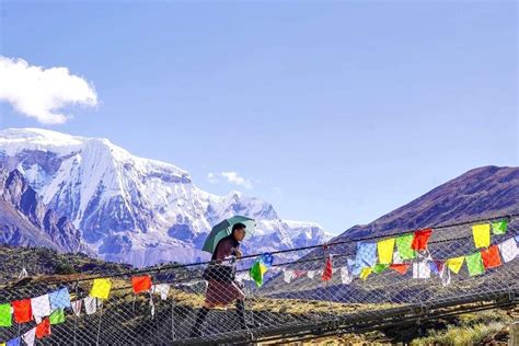 happy birth anniversary your bhutan python coders