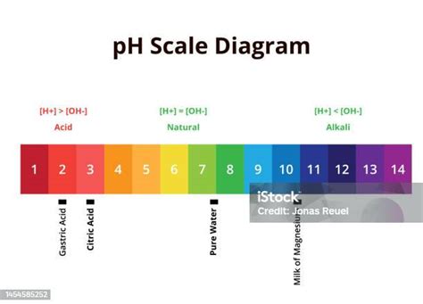 Structure Of Ph Scale Diagram Stock Illustration Download Image Now