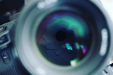 Maggie Rose Inc Model Grantwmills 🖤 Modeling Model Photography Fashion Photoshoot