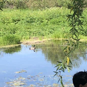 Hidden Valley Wildlife Area Updated June 2026 90 Photos And 15