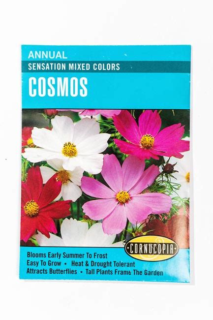 Cornucopia Seeds Catalogue Flower