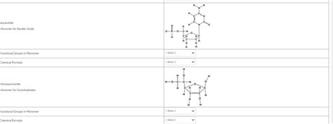 Functional Groups In Organic Molecules In The