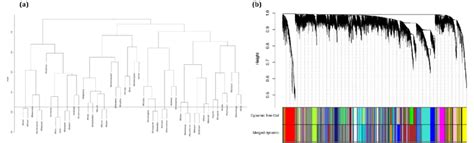 A The Cluster Dendrogram Of Co Expression Network Modules The Red