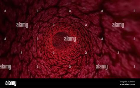 Vene 3d Fotos Und Bildmaterial In Hoher Auflösung Alamy