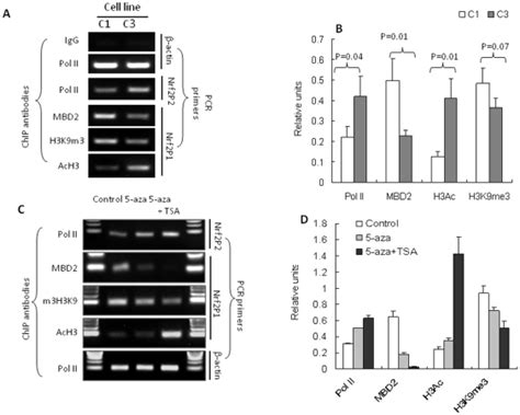 A Chip Assay Was Performed To Detect The Binding Of Indicated