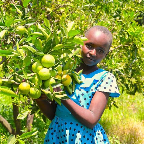 Wolfgang Eisert Posted On Linkedin