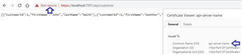 Deploying Full Stack Asp Net Core With Api And Sql Server Databases To Docker Containers