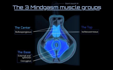 Mindgasm How It Works And Why It Feels So Good