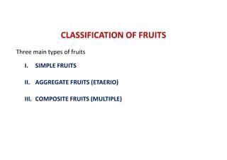 Types Of Fruit And Its Classifications Without Diagrams Pdf