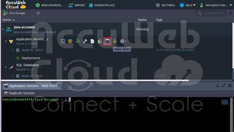 How To Install And Use The TimeZone Change Add On AccuWeb Cloud
