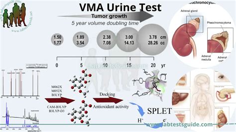 Vma Test Procedure Interpretation And Overview A Comprehensive Guide