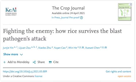 四川农业大学陈学伟团队综述水稻稻瘟病抗性调控机制