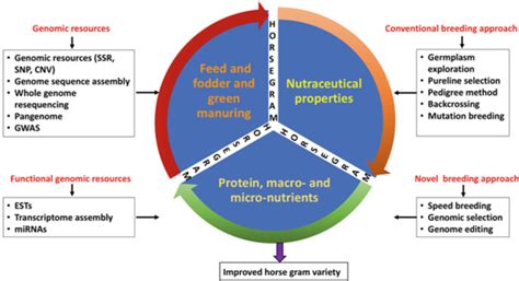 1 integration of conventional breeding modern breeding tools and