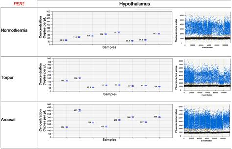 Typical Example Of Digital Droplet Pcr Ddpcr Mrna Quantification Download Scientific Diagram