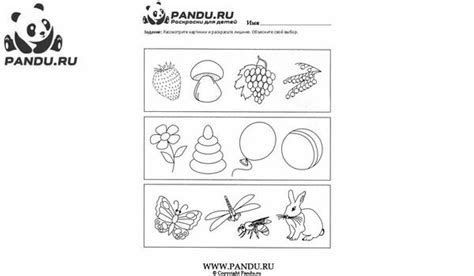 задания что лишнее для детей 4 5 лет распечатать бесплатно