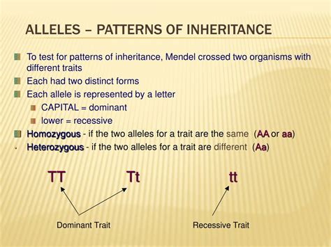 Ppt Basic Concepts In Genetics Powerpoint Presentation Free Download