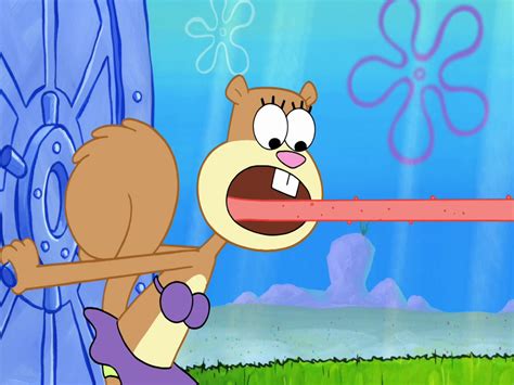 Spongebuddy Mania Spongebob Episode Squirrel Record