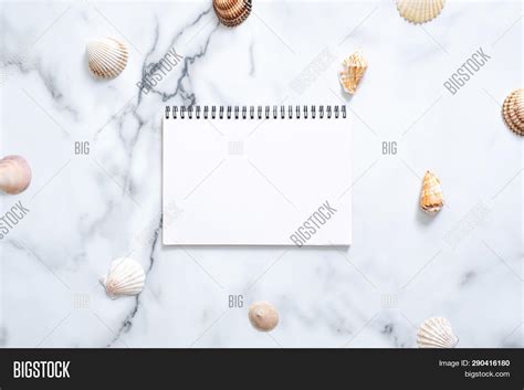 Blank Shell