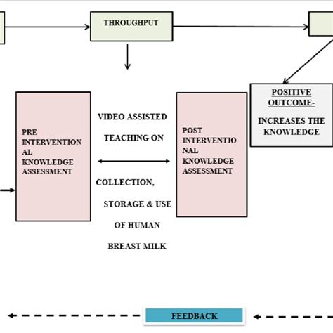 Conceptual Framework Based On General System Theory Of Ludwig Von