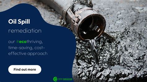 Eco Thrivetide Consulting Ltd On Linkedin Remediation Ecological