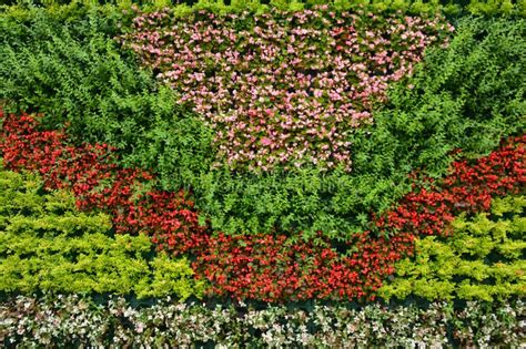 Muro Verde Com Tipos De Plantas Flores Verdes Cor De Rosa Foto De Stock Imagem De Erva Grama