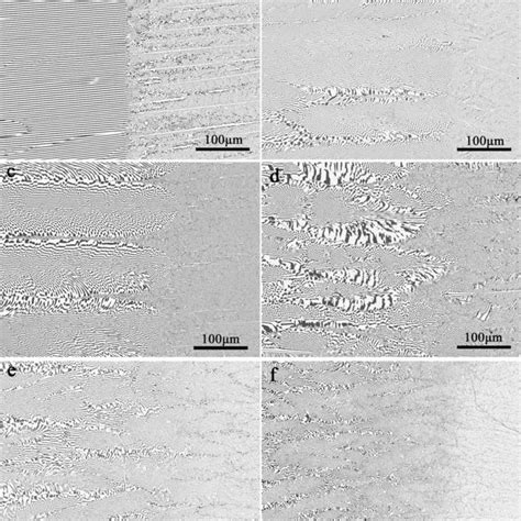 Sem Micrographs Of Solidliquid Interface Morphologies In Download