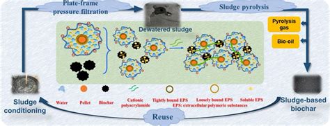 Enhancing Sludge Management With Biochar Innovations In Anaerobic