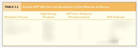 Kines 380 Exam 1 Diagram Quizlet