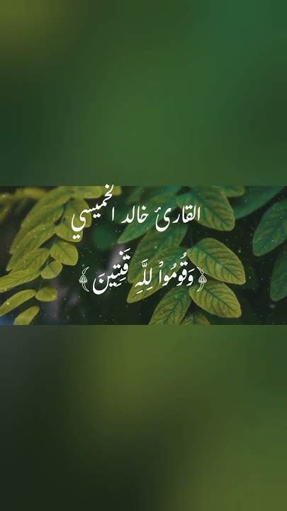 القارئ خالد الخميسي Youtube