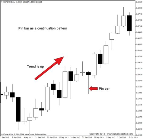 Pin Bar Trading Strategy Everything You Need To Be Profitable Daily