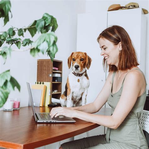 Homepage Transaction Coordinator Certification