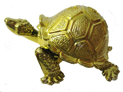 Veloz Quietud Antonio Duque La Tortuga Que Ponía Oro