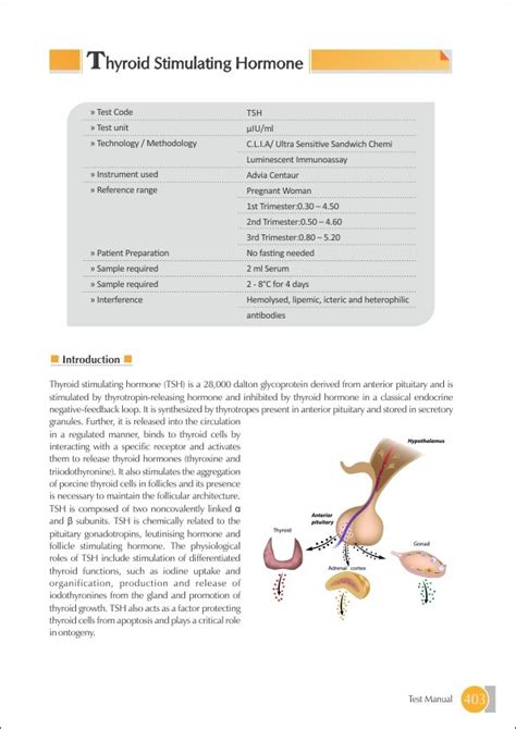 Thyroid Stimulating Hormone Tsh Test Price Rs210 Thyrocare