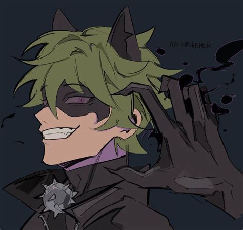 Pin By 🎪aubrey0000🐱 On Miraculous Miraculous Ladybug Anime