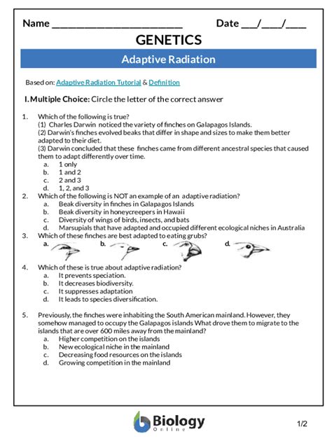 Fillable Online Hierarchy Morphology And Adaptive Radiation A Test