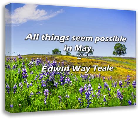 Trinx Edwin Way Teale Quote All Things Seem Possible In May Wayfair
