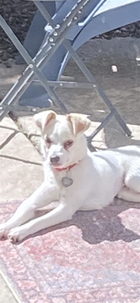 Meet Phoebe Scrolller