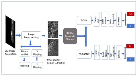 Computer Vision Based Microcalcification Detection In Digital