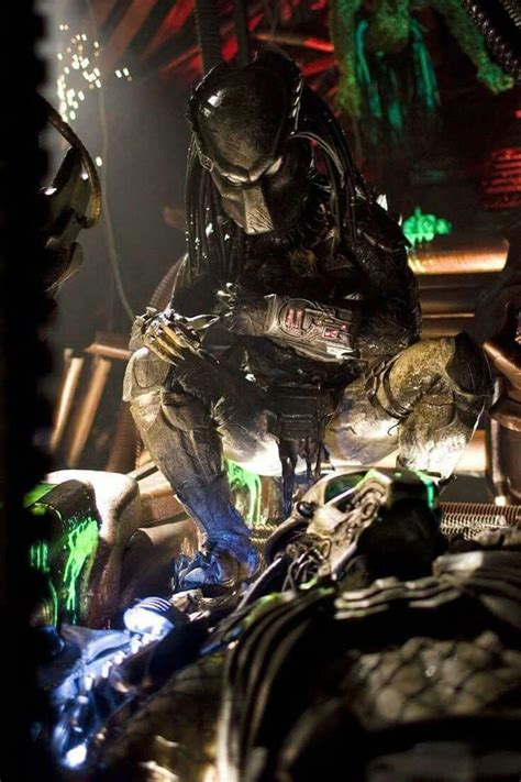 Wolf Predator Investigates Predalien Attack Aliens Vs Predator Images