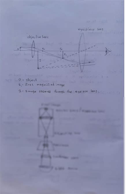 SOLUTION Introduction To Light Microscope Studypool