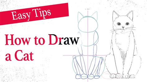 Amazing Tips About How To Draw A Cats Body Securityquarter28