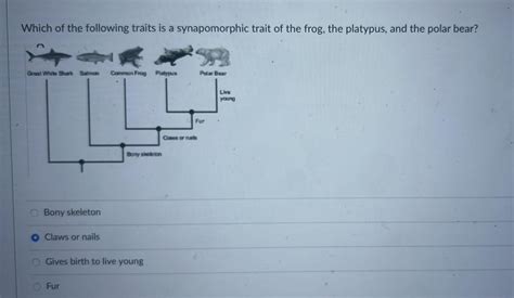 [answered] Which Of The Following Traits Is A Synapomorphic Trait Of