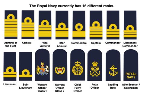 Royal Navy Officer Ranks Shaping Your Career Royal Navy