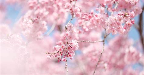 大好きよ😘｜のーこ｜note