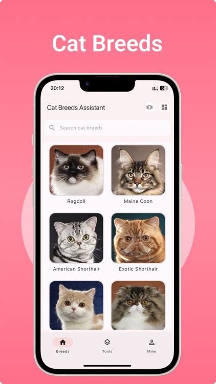 Cat Breeds Assistant By 立 陈