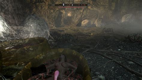 Secret Rooms Downloads Skyrim Adult And Sex Mods Loverslab