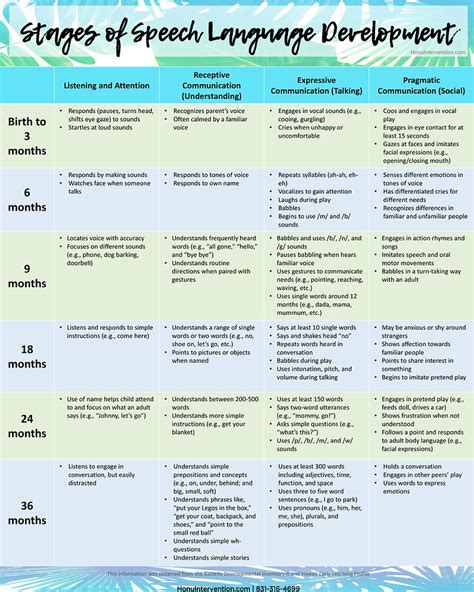 Stages Of Speechlanguage Development