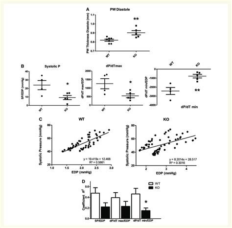 Echocardiographic And P V Loop Analysis Of Cardiac Contractile Function
