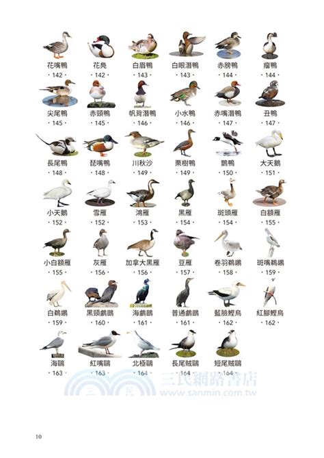 鳥類輕圖鑑 三民網路書店